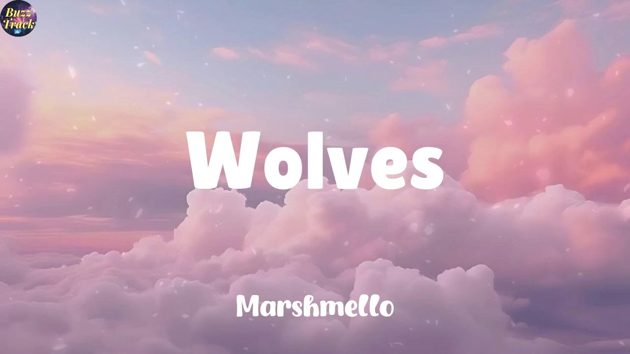 Wolves - Marshmello (Lyrics) Taylor Swift, Shawn Mendes, The ...