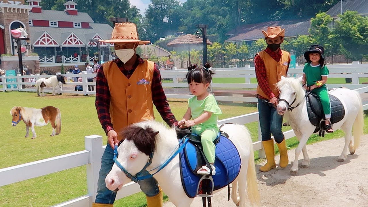 Naik Kuda Poni Mini Mungil | Wisata Naik Kuda di Puncak & Bermain ...