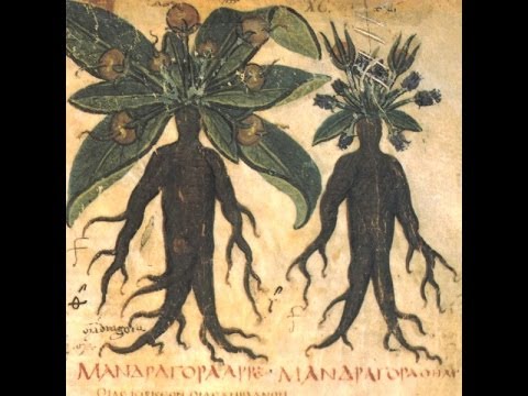 First steps on how to practice Witchcraft - YouTube