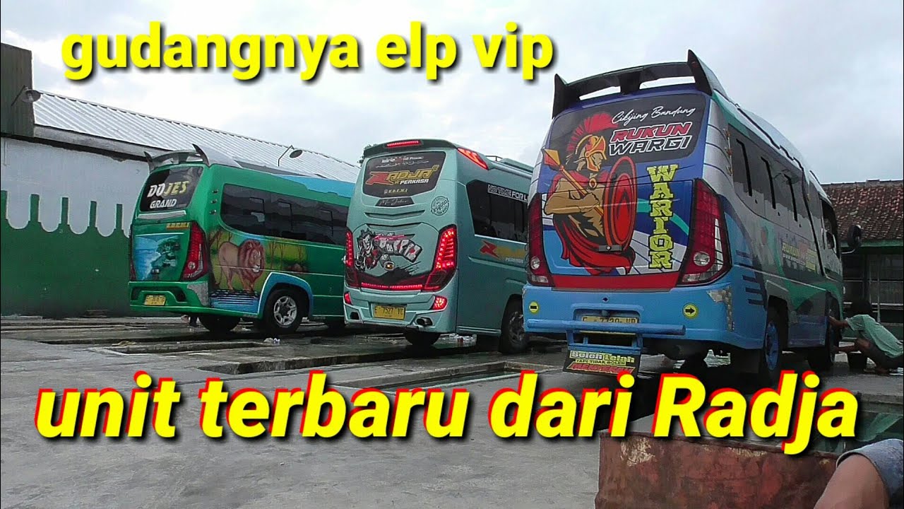 tranfortasi cirebon cikijing 👌 peremajaan elp terbaru dari Po radja ...