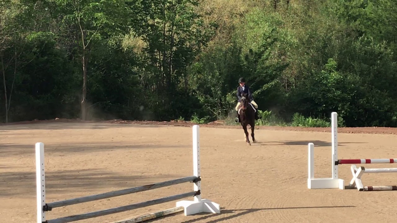 Nicola MacLeod Teen Ranch Novice O/F Online Horse Show - YouTube