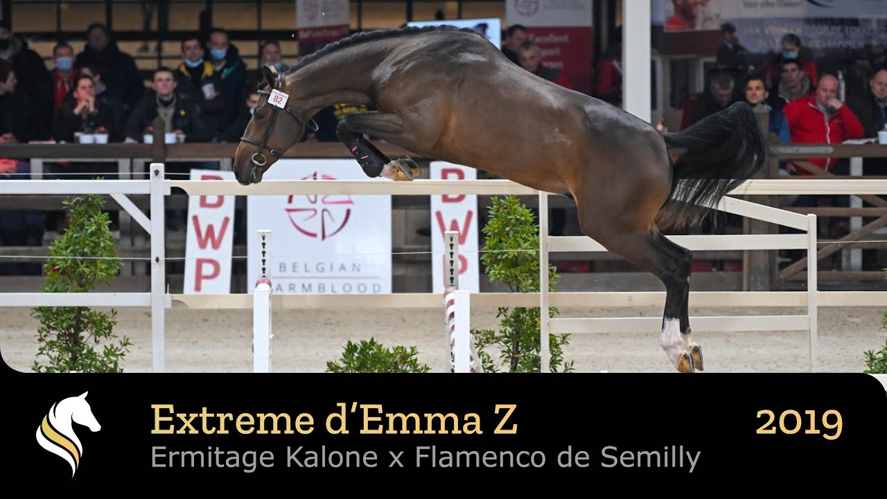 Extreme d’Emma Z - YouTube