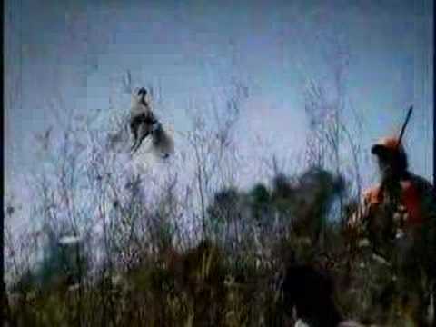 Scheels Hunting Commercial 2005