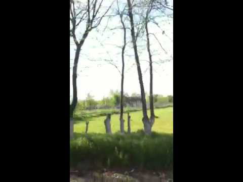 CİHANBEYLİ ciftlik yolu