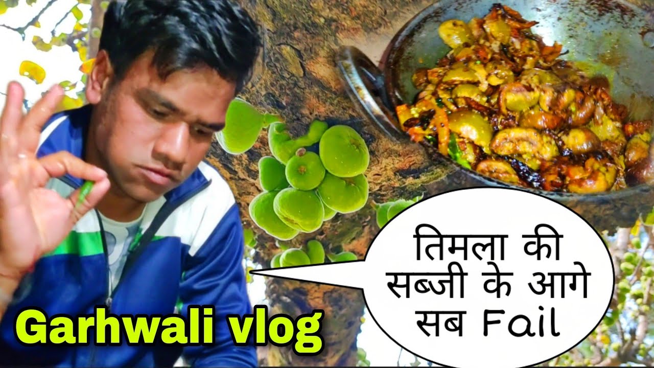 Timla Ki Sabji || तिमला की सब्जी || इन बणादि 😊|| Garhwali vlog ...