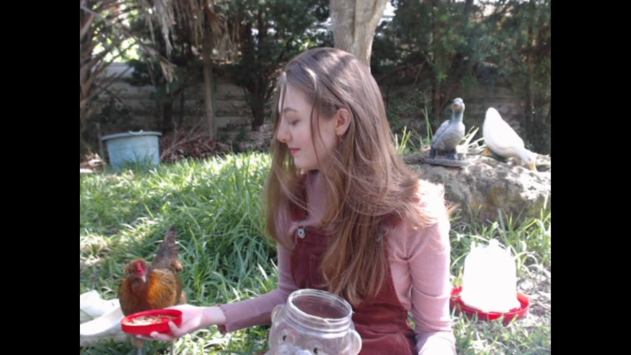 ASMR Outdoors w/ Ducks & Chickens