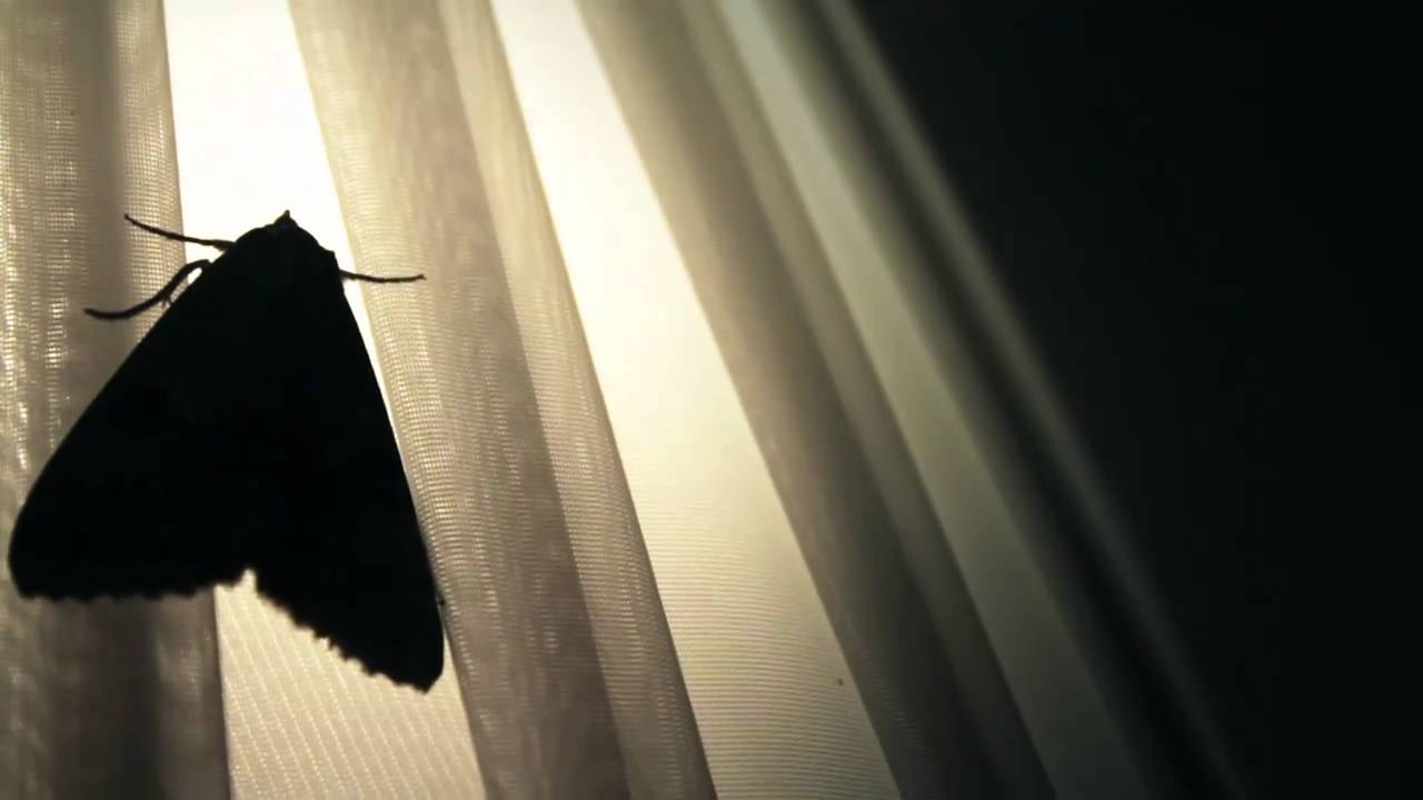 Moth Equals - The Fall and Rise - Album Teaser [ 2011 ] - YouTube