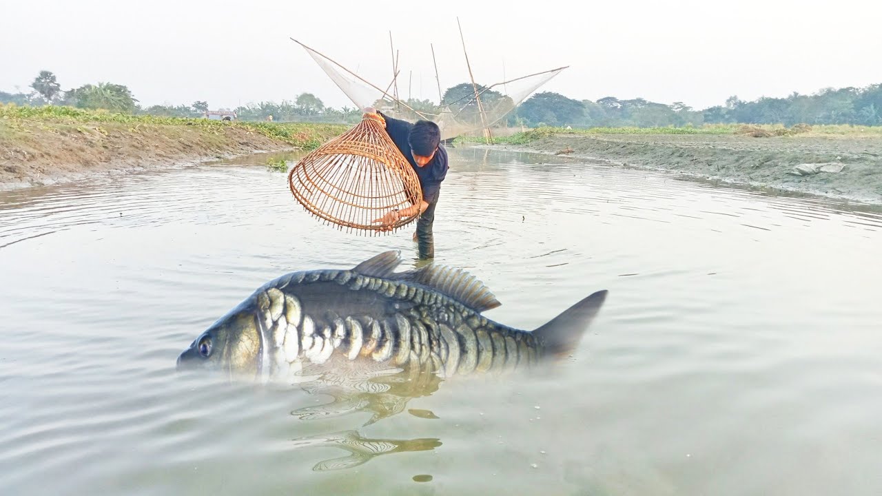 Amazing Polo Fishing 2022🐬 Unique Method Fishing Catching Big Fish From ...