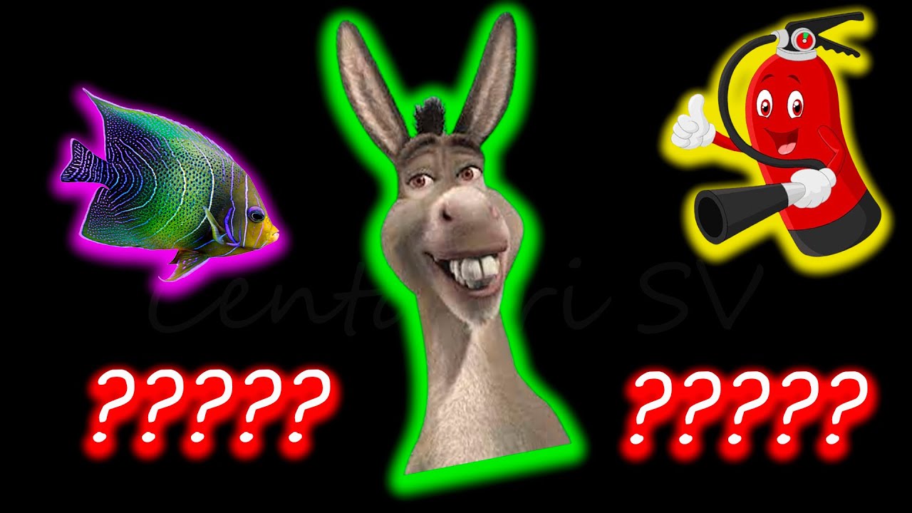 Donkey dancing & Best laugh Sound Variations in 57 Seconds - YouTube