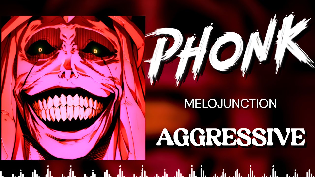 1 HOUR AGGRESSIVE PHONK ※ FUNK MIX 2024 ※ MUSIC PLAYLIST [GYM ...