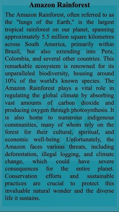 Paragraph on Amazon Rainforest - YouTube
