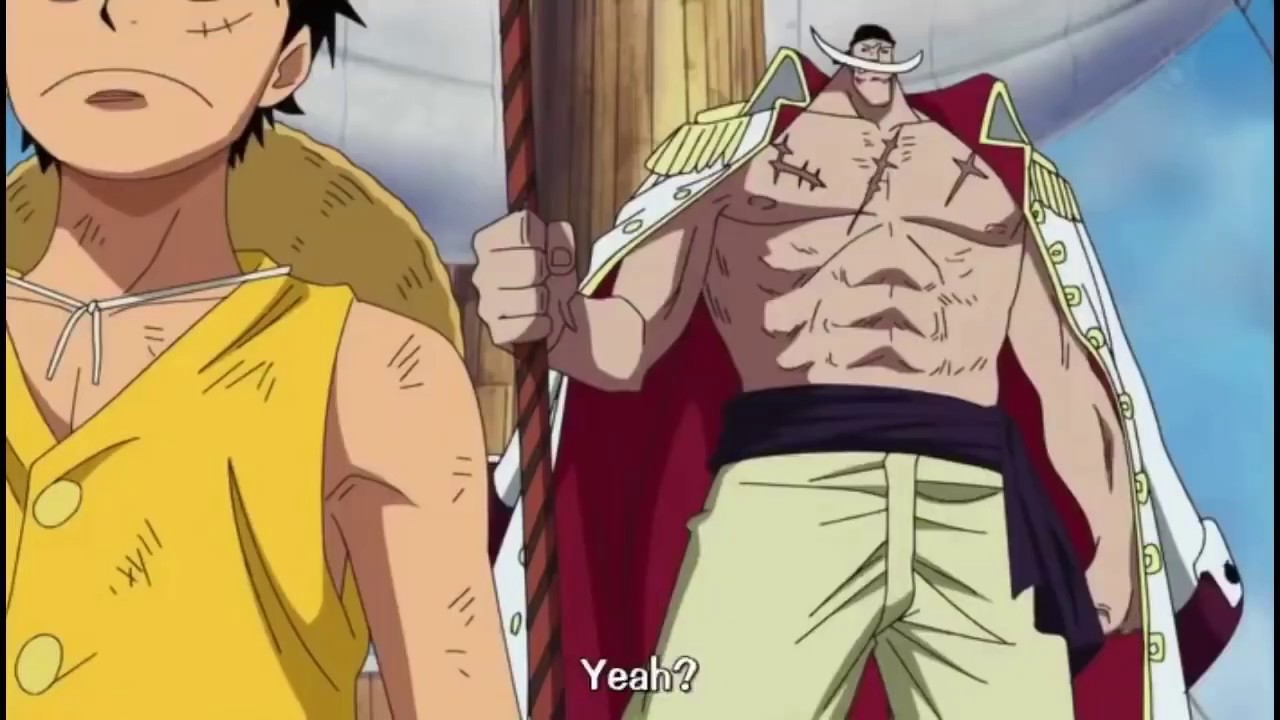 Luffy Memarahi Shirohige - YouTube