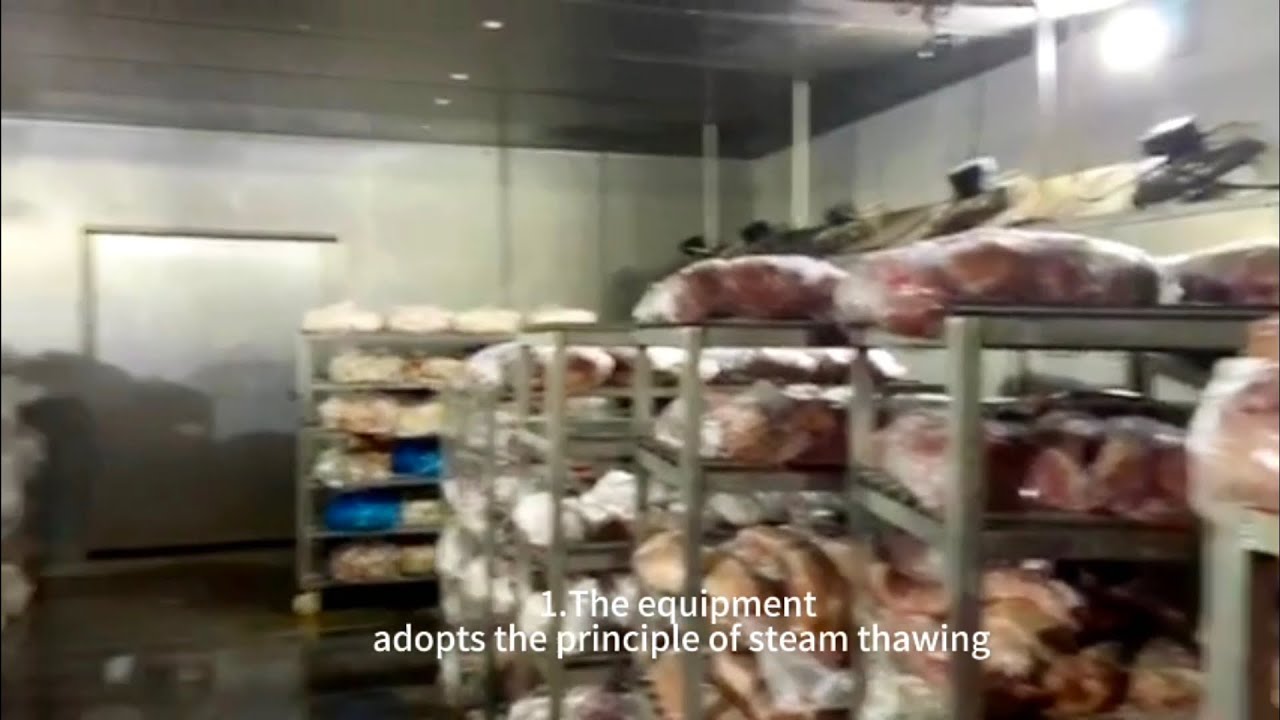 Beef thaw machine,thaw beef equipment - YouTube