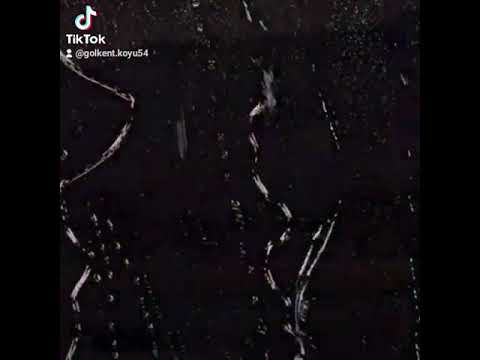 Yine Aylardan Kasım 🍁🍂