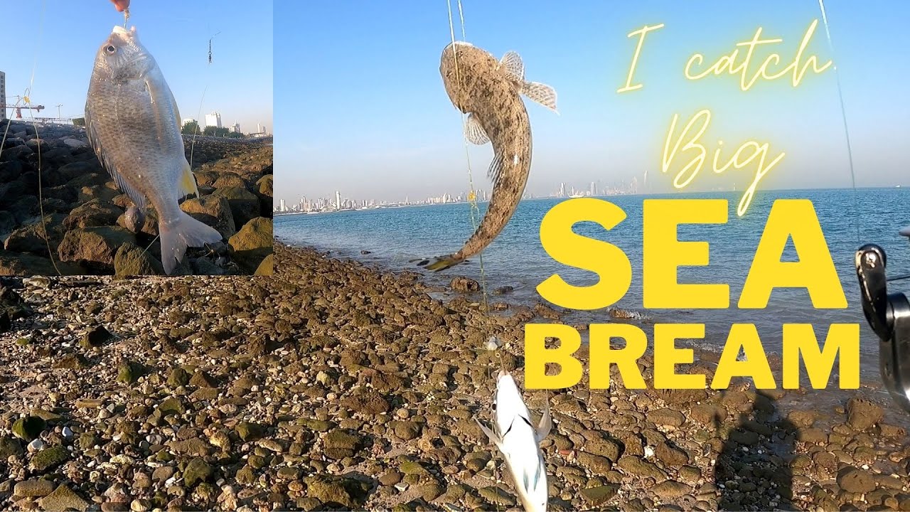 I CATCH BIG SEA BREAM - YouTube