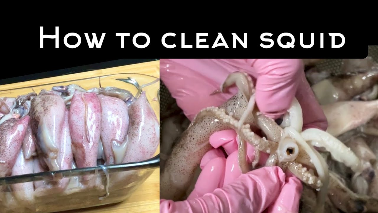 How to Clean Squid - YouTube