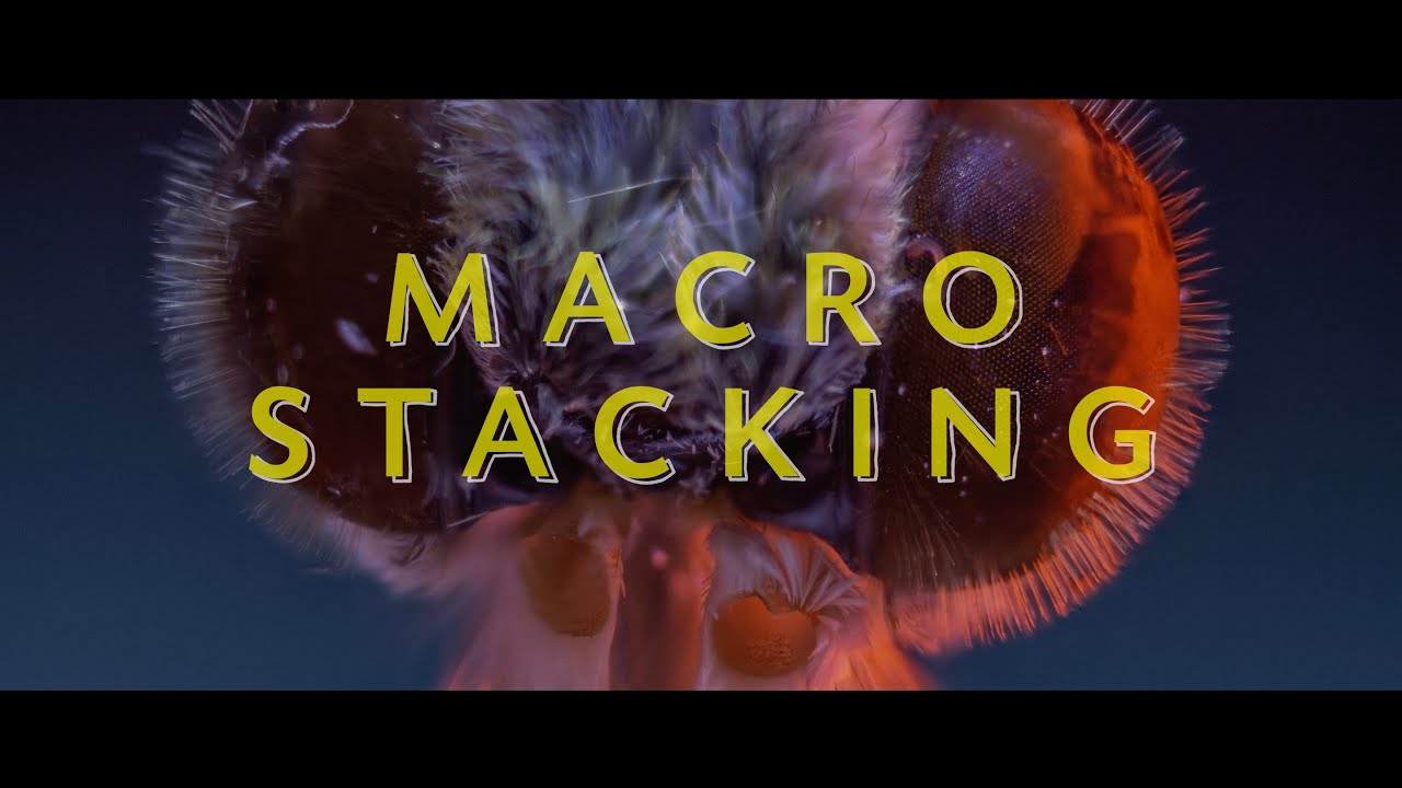 Macro Stacking with Microscope Lens and Any Camera. - YouTube
