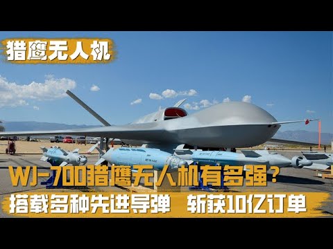 WJ 700猎鹰无人机有多强？可搭载反辐射导弹，性能超过美制无人机 - YouTube