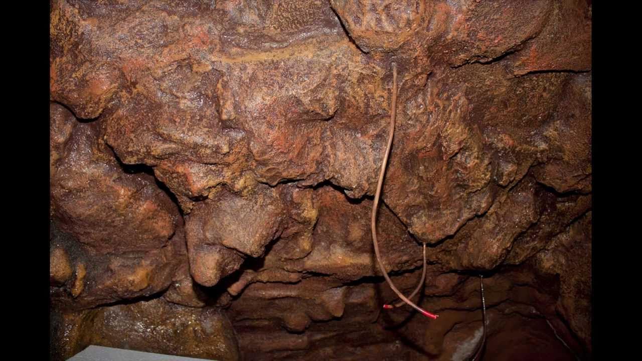 Building a Burmese python enclosure - YouTube