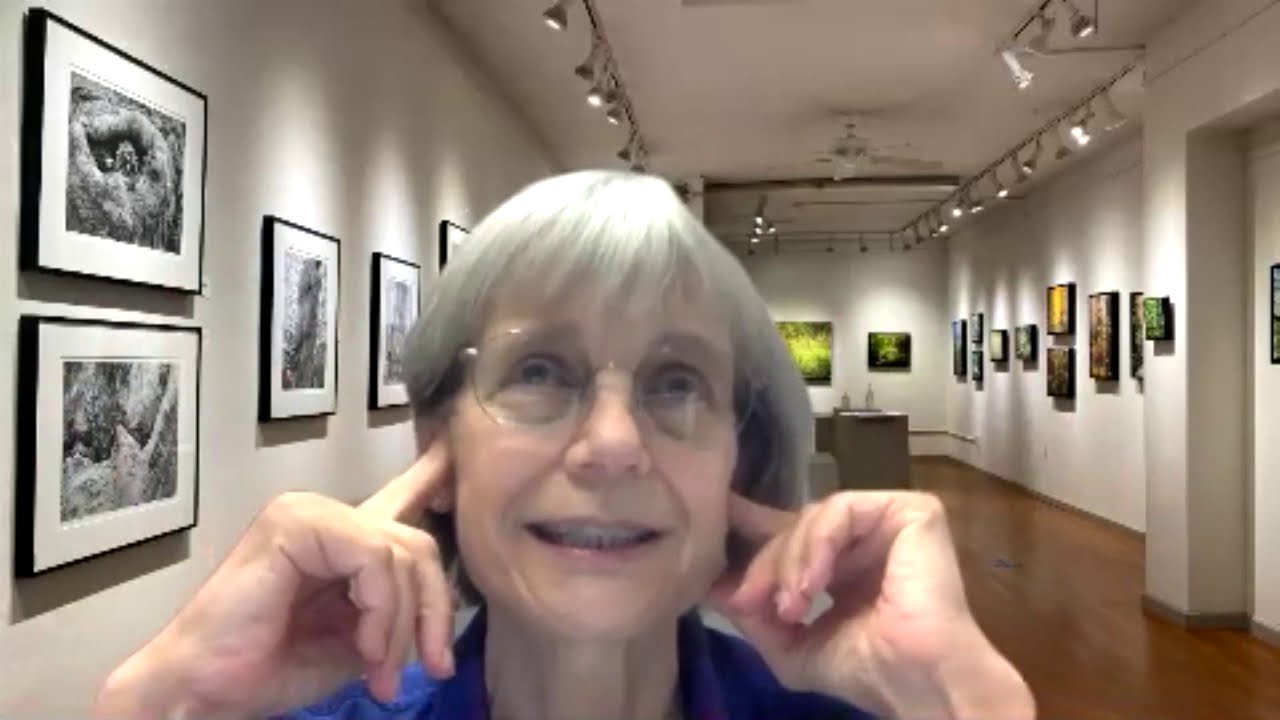 Susan Larkin Artist Talk - YouTube