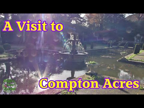 A Visit to a Secret Forest Garden - YouTube