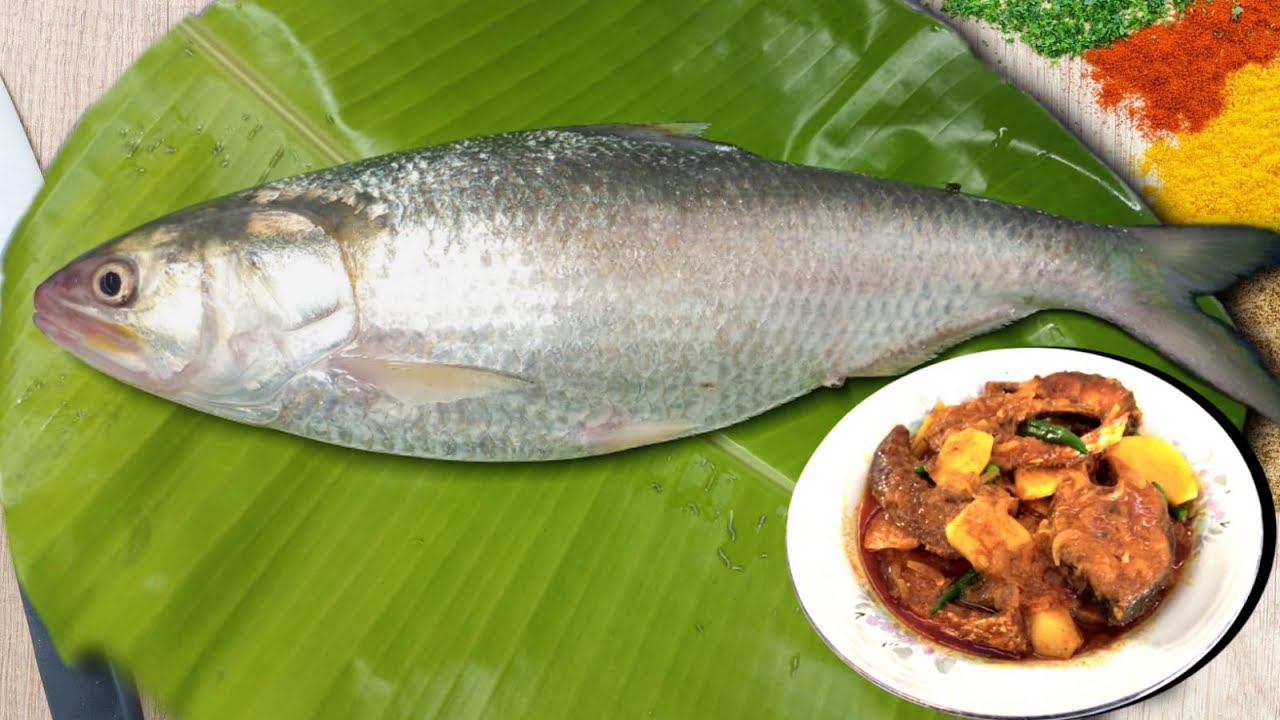 HILSA FISH | Traditional Hilsa Fish Recipe Cooking in Village Kitchen ...