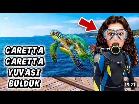 DENİZDE CARETTA CARETTA YUVASI BULDUK‼️YAVRULAR NEREDE⁉️