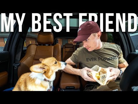 MEET MY NEW BEST FRIEND - YouTube