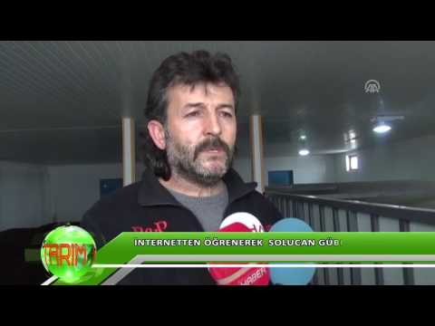 İnternetten öğrenerek solucan gübresi tesisi kurdu