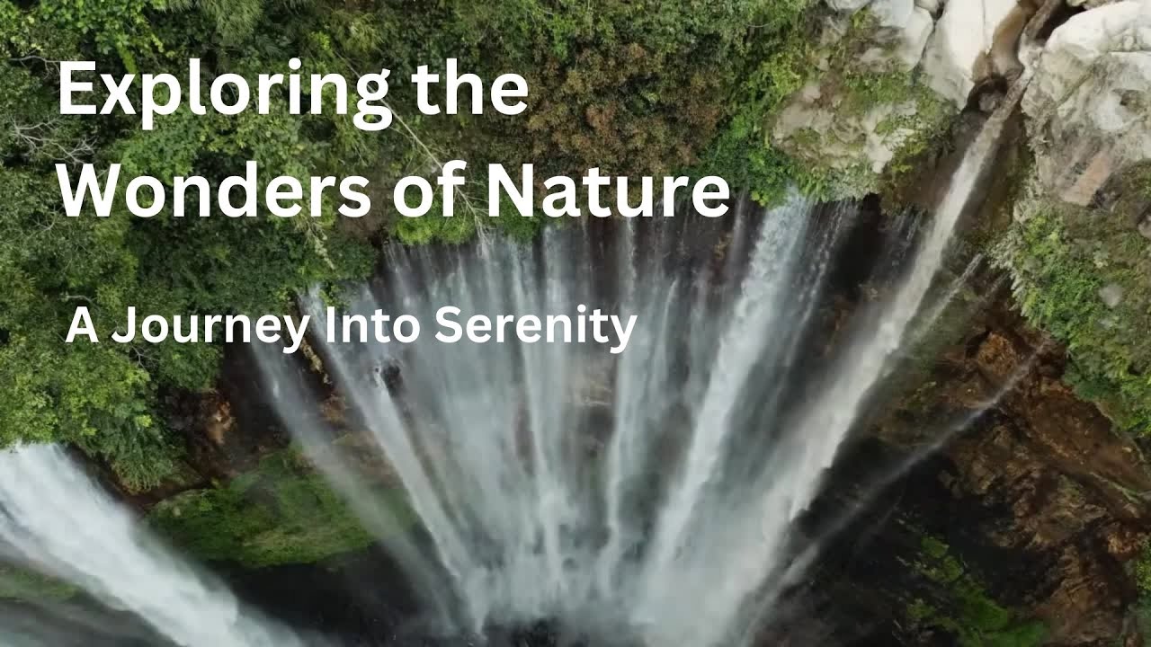Exploring the Wonders🌻 of Nature 🌿 | A Journey Into 🌲Serenity - YouTube