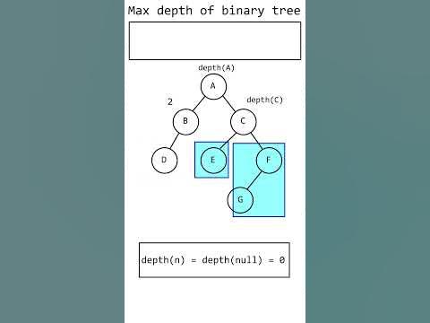 Binary Tree | Depth | #animation - Youtube