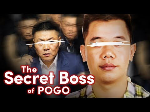 The SECRET BOSS of POGO - (The Revelation of Alice Guo)