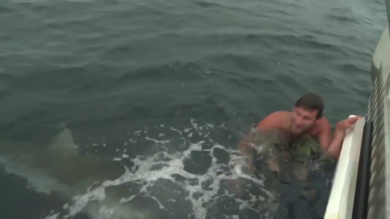 Shark attack near death - YouTube
