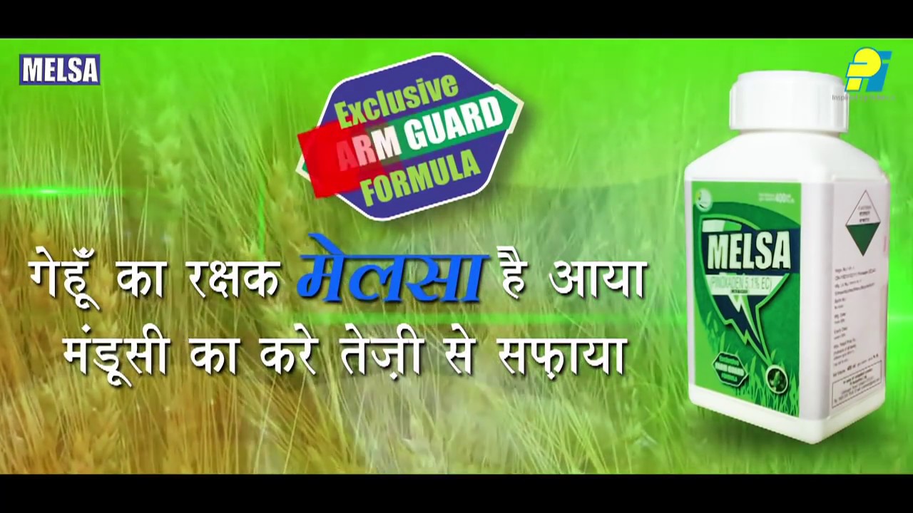 MELSA || HINDI || - YouTube