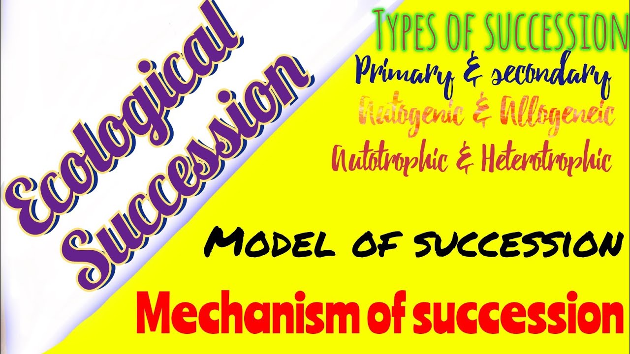 Ecological succession |Types of succession | Process of ecological ...