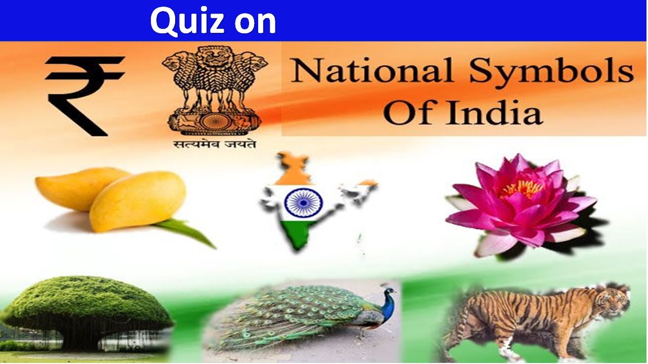 National symbols of India Quiz|#nationalsymbolsquiz|#EToddlers - YouTube