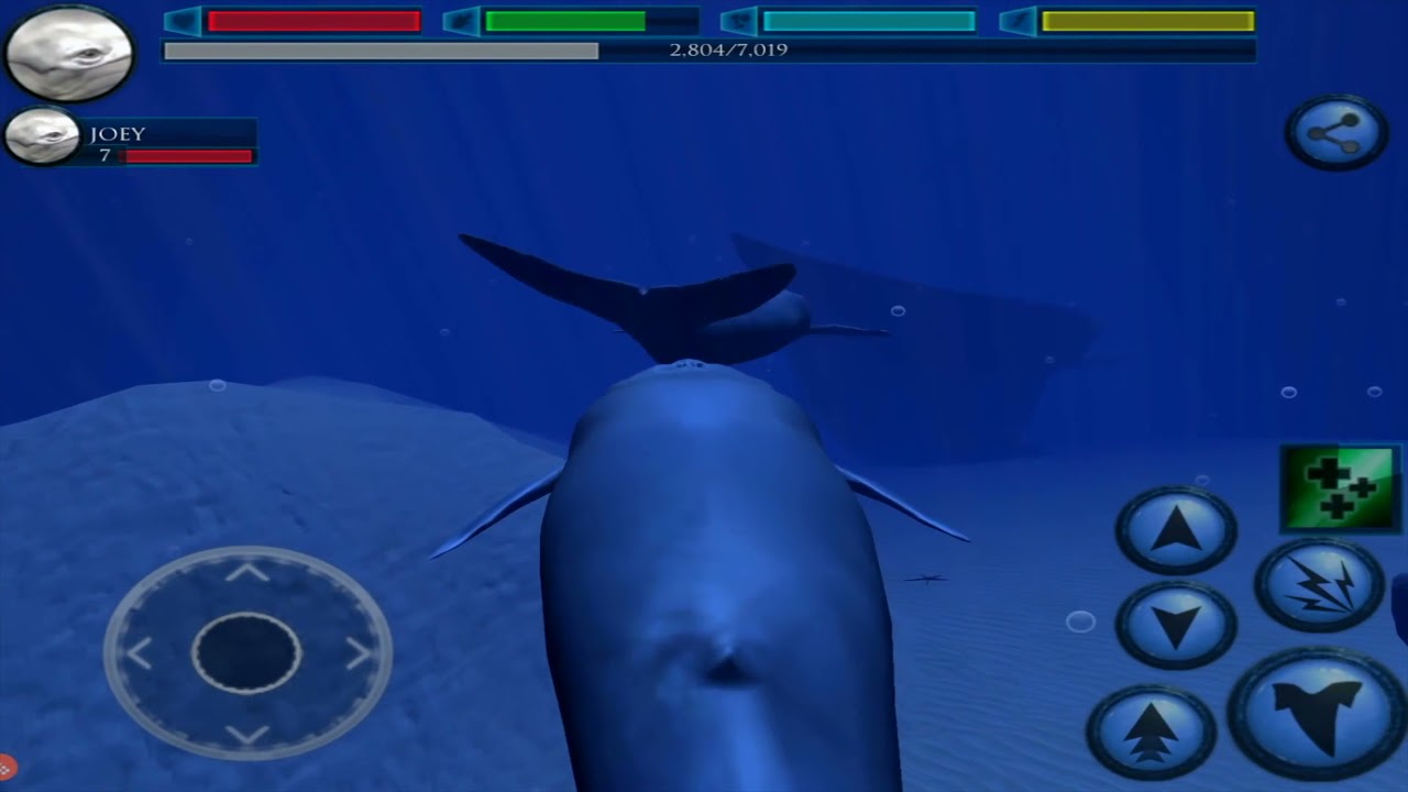 Blue Whale VS Sharks, Orca, Dolphin Ultimate Ocean Simulator - YouTube