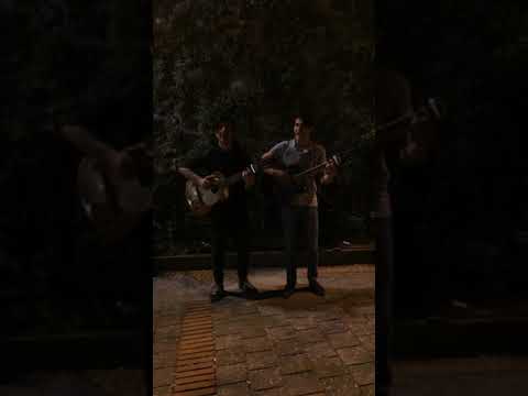 Oha Sese Bak Taksim Sokak Müzisyenleri (mutlaka izlemelisiniz)