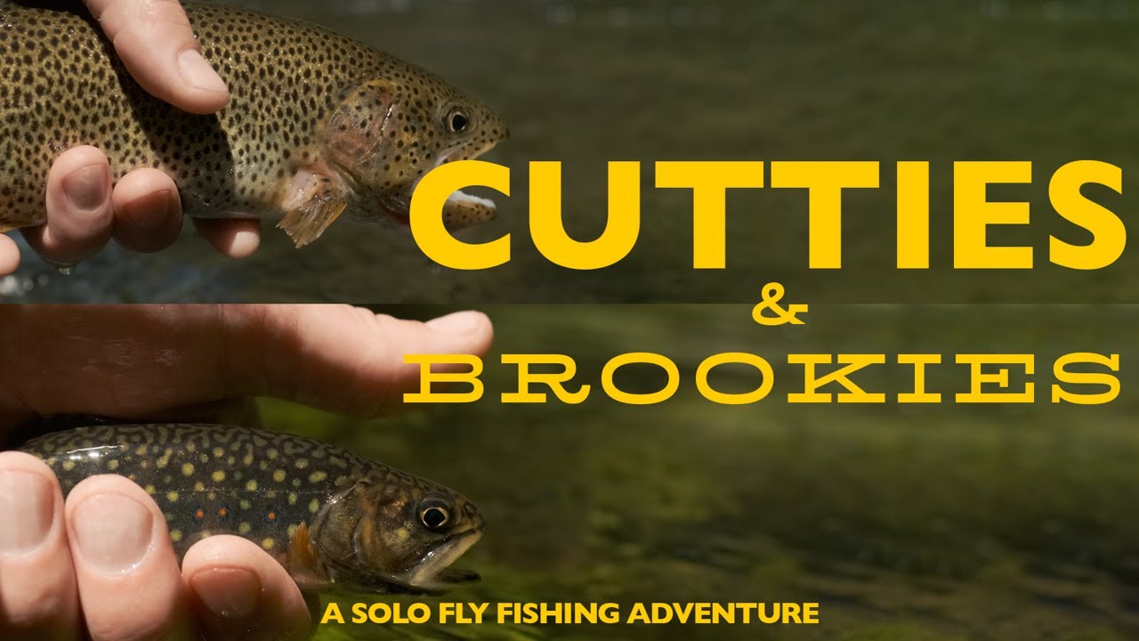 CUTTIES & BROOKIES | Solo Fly Fishing for Wild Trout in the Pacific ...