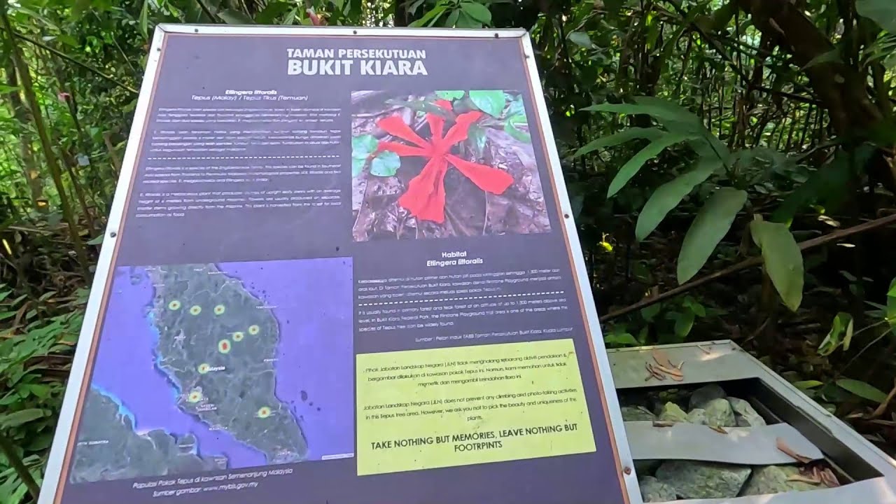 Hike @ Kiara Hill (Bukit Kiara) via TTDI Park entrance - YouTube