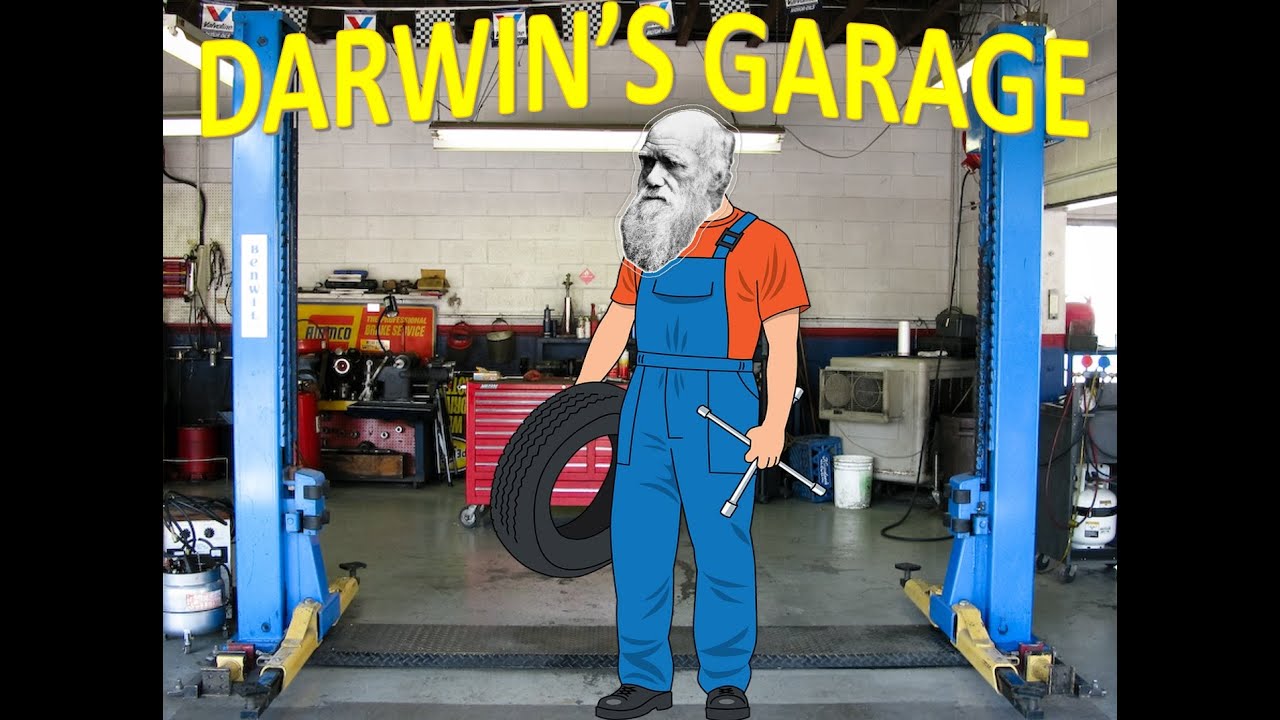 Darwin’s Garage Explains Random - YouTube