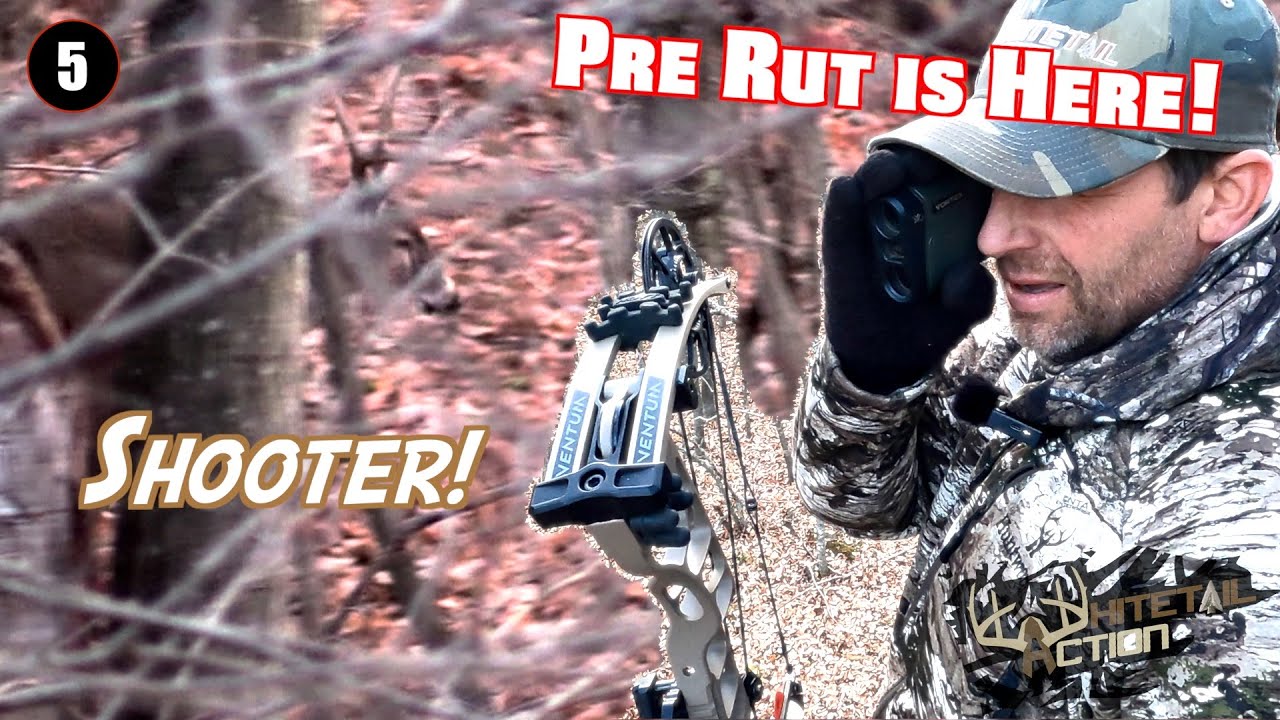 Whitetail Action-"PRE RUT IS HERE!"-Bowhunting a Pre Rut Wisconsin ...