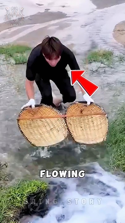 From River Flow To Fish Overflow - YouTube