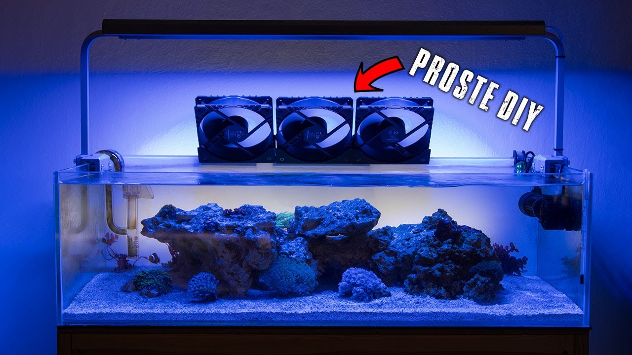 🪸 SYSTEM CHŁODZENIA DO AKWARIUM DIY - PROSTY I TANI SPOSÓB - YouTube
