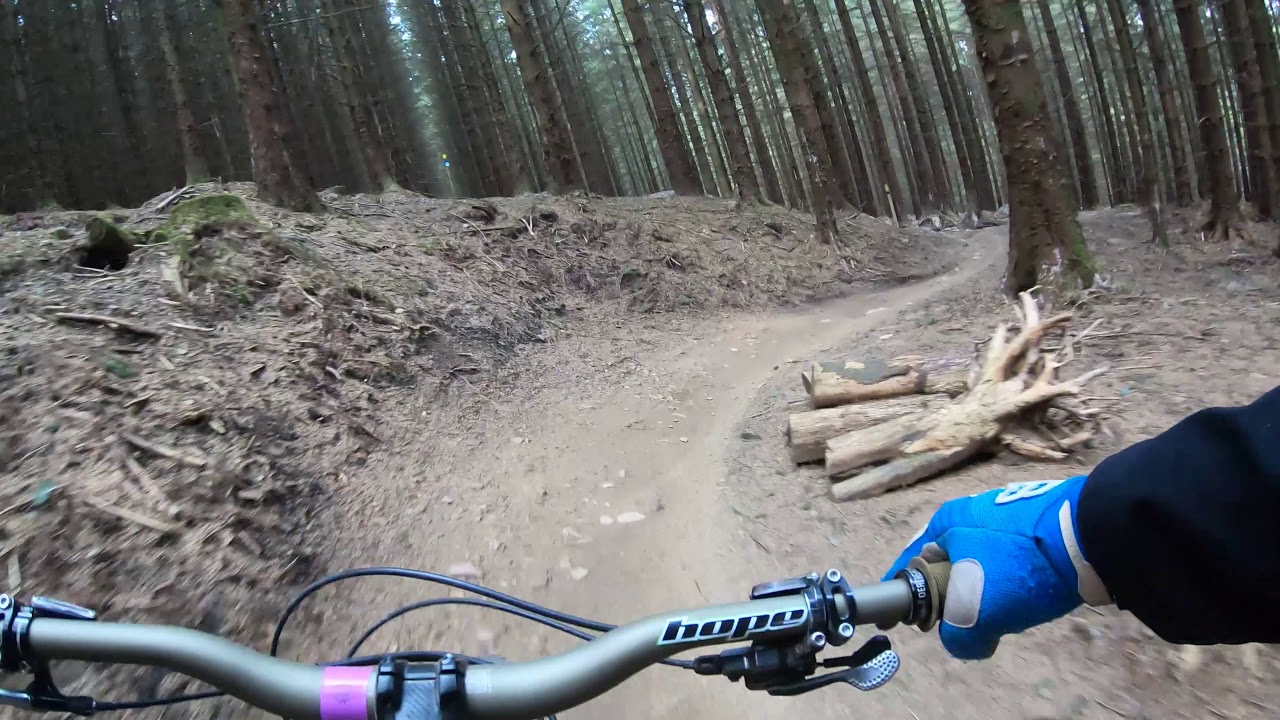 BikePark Wales - Melted Welly into Off Grid into Fforest Bump - YouTube