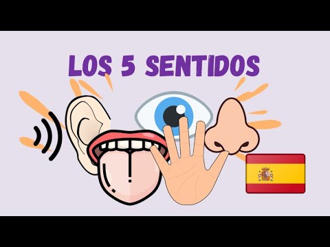 The 5 senses in Spanish | Los cinco sentidos | Learn Spanish - YouTube