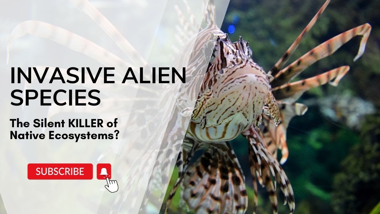Invasive Alien Species: The Silent KILLER of Native Ecosystems ...