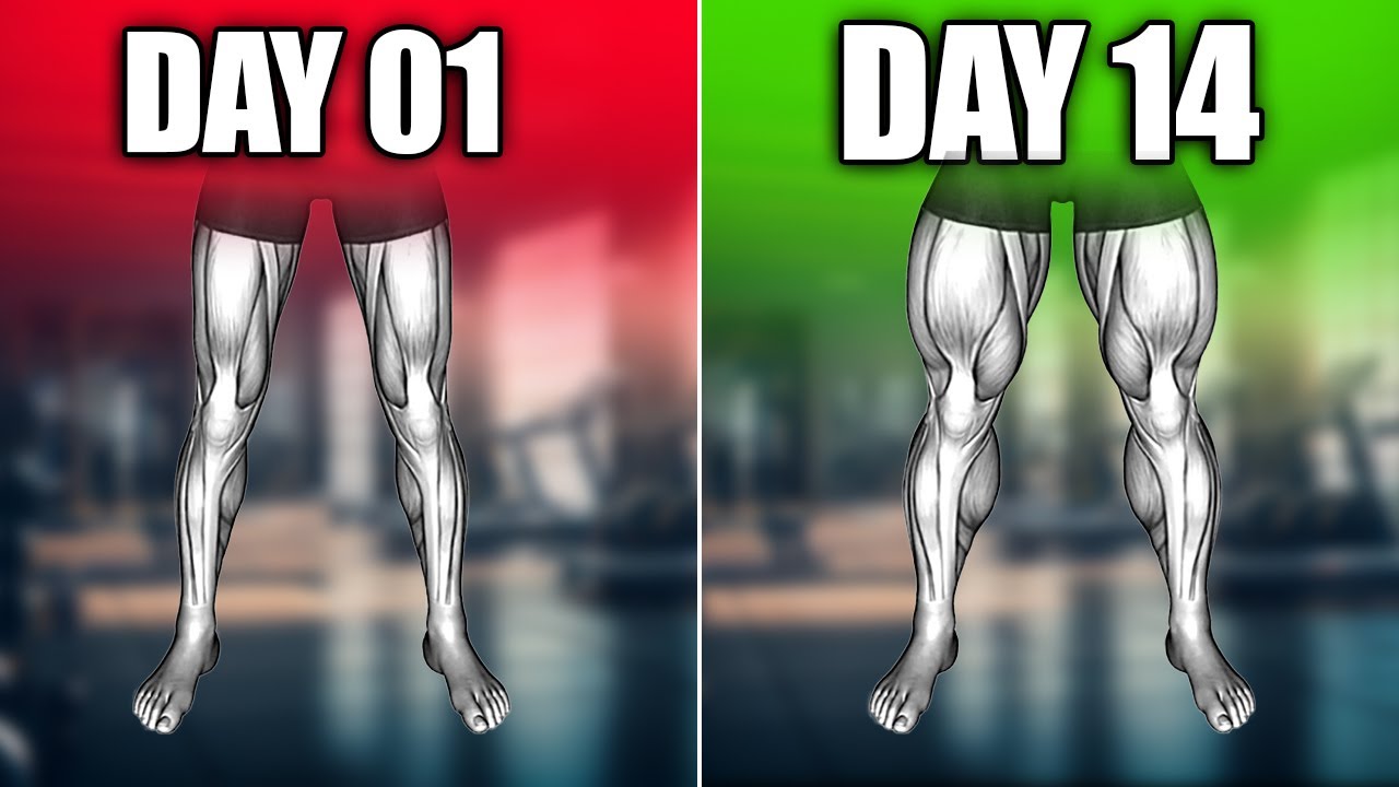 Full LEG Muscle Transformation 7 Best Exercises - 7 Exercises For Leg ...