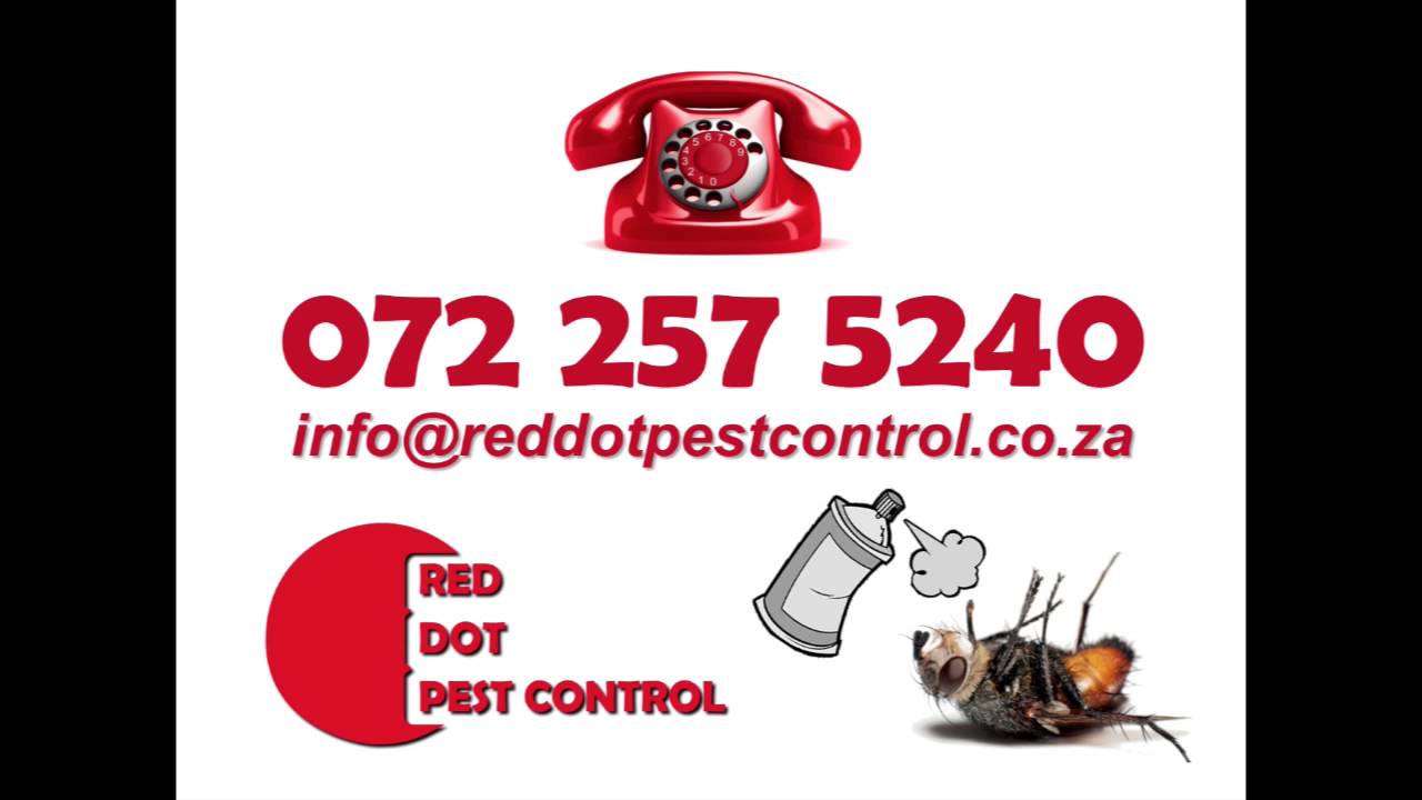 Red Dot Pest Control - YouTube