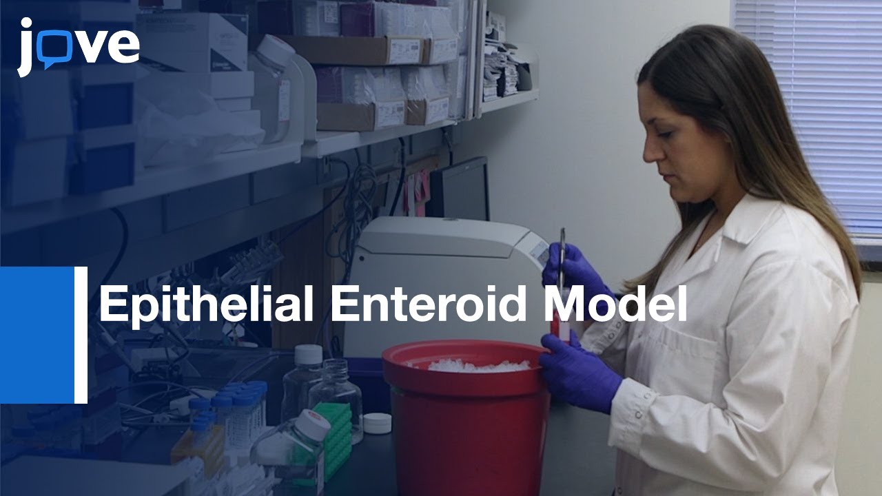 Epithelial Enteroid Model of Necrotizing Enterocolitis | Protocol ...